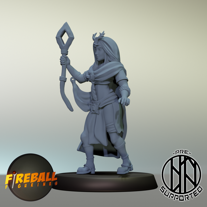 3D Printable Elowen, Female Wood Elf Druid High Priestess of the Stars ...
