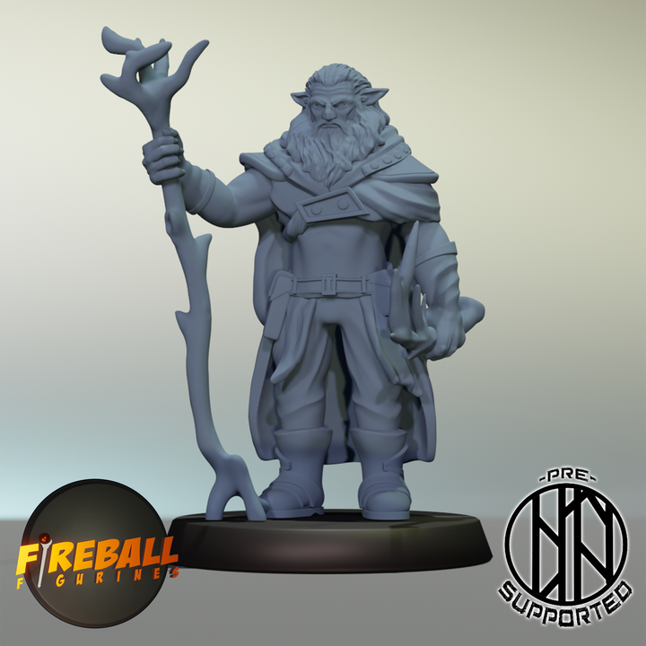 3D Printable Thalion, Male Wood Elf Archdruid of the Moon by Fireball ...