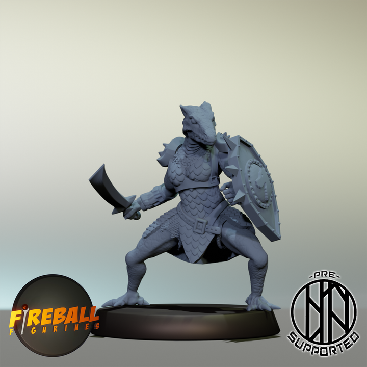 3D Printable Seraphina, Female Dragonborn Paladin of Bahamut by ...