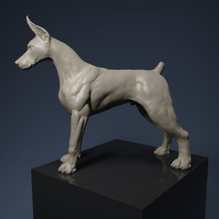 3D Printable Doberman Pinscher by Art of V