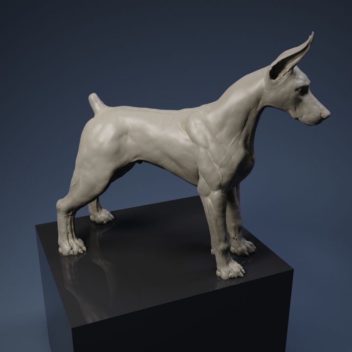 3D Printable Doberman Pinscher by Art of V