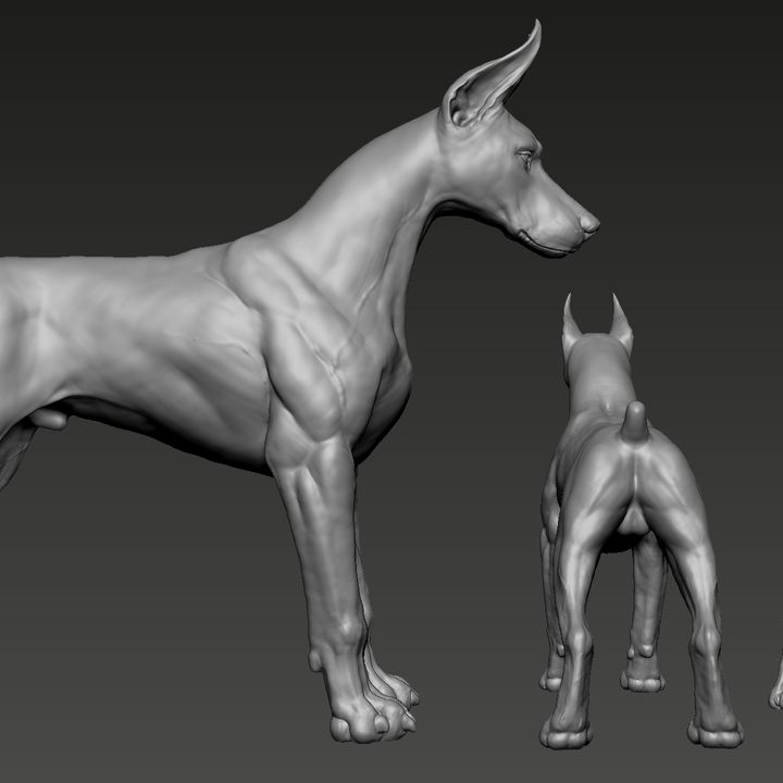 3D Printable Doberman Pinscher by Art of V
