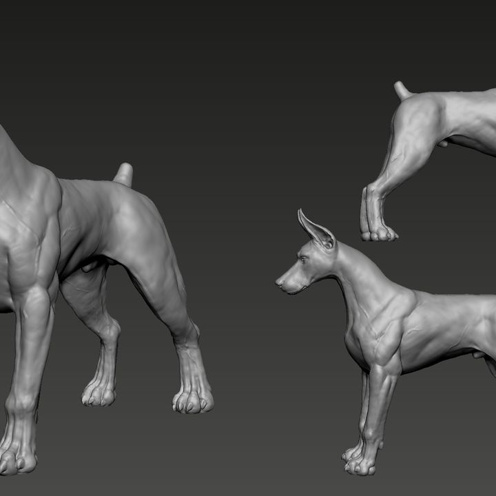 3D Printable Doberman Pinscher by Art of V