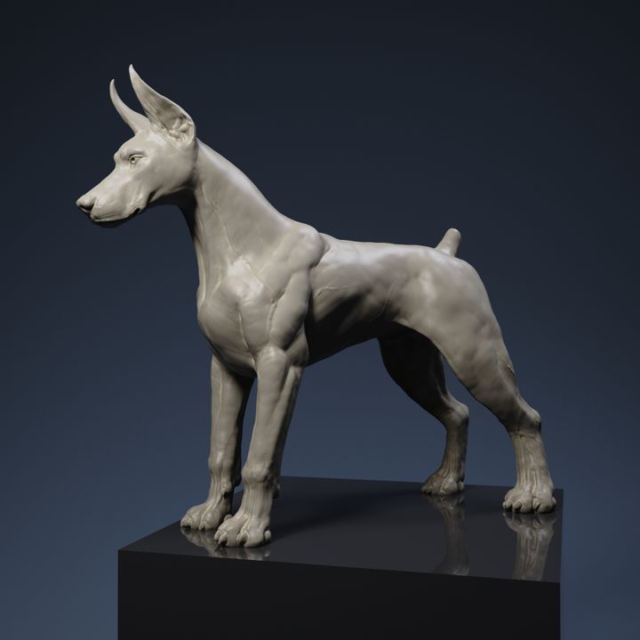 3D Printable Doberman Pinscher by Art of V