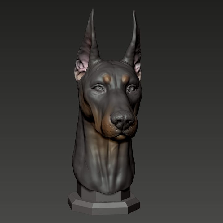 3D Printable Doberman Pinscher Bust by Art of V