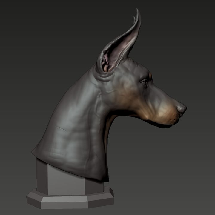 3D Printable Doberman Pinscher Bust by Art of V