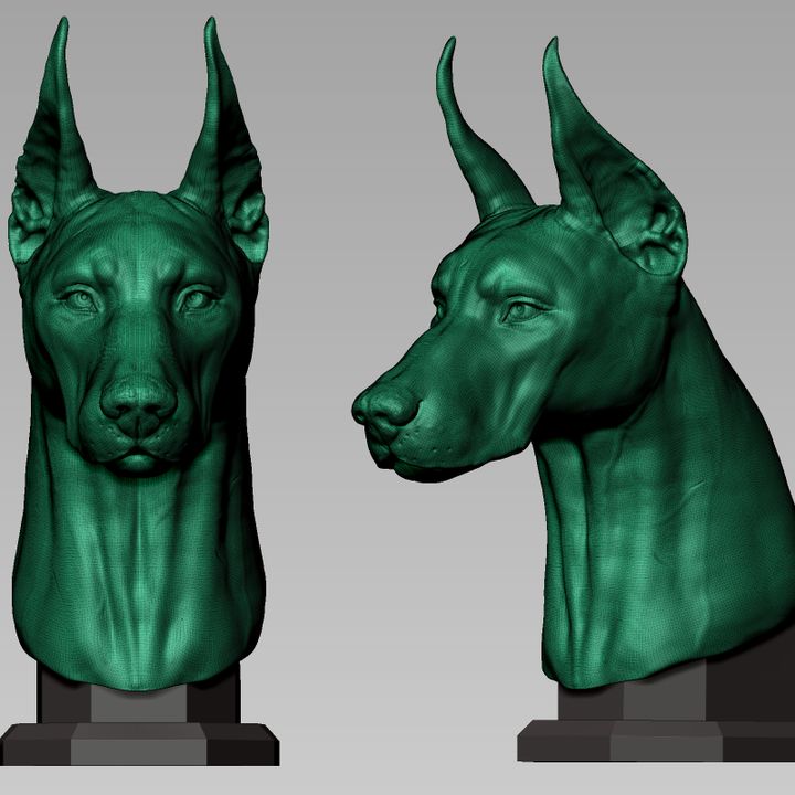 3D Printable Doberman Pinscher Bust by Art of V