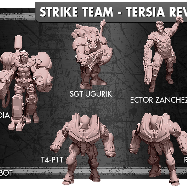 3D Printable Tersia Revolutionaries Strike Team by Mantic Games®