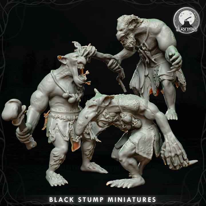 3D Printable Troll Pack + 5E Stats .pdf! by Arcane Chamber Miniatures