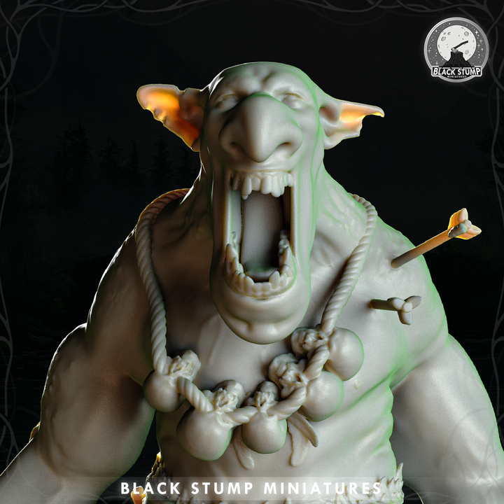 3D Printable Troll Pack + 5E Stats .pdf! by Arcane Chamber Miniatures