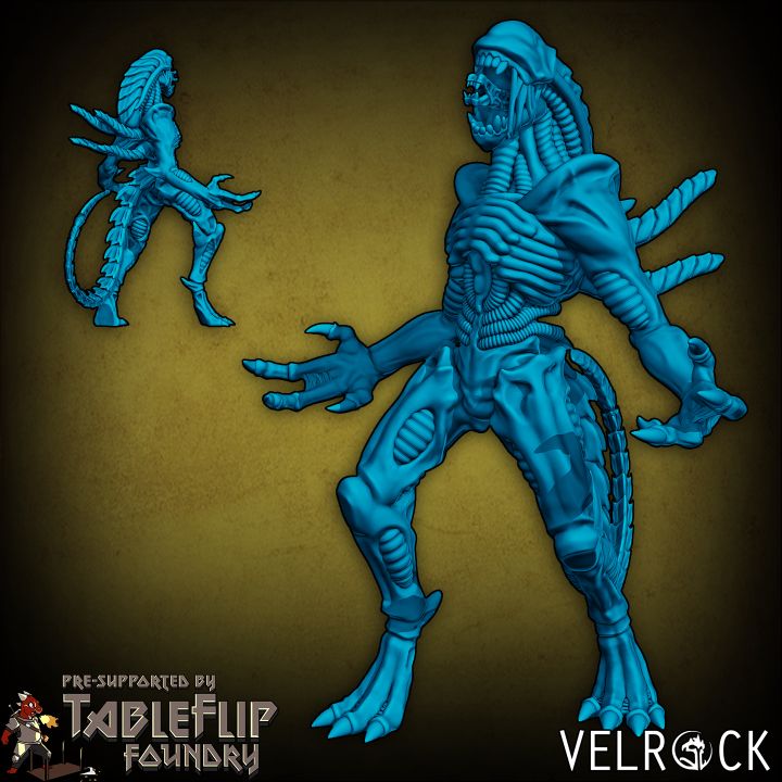 3D Printable Xeno Swarm (PRESUPPORTED) by Velrock Art Miniatures