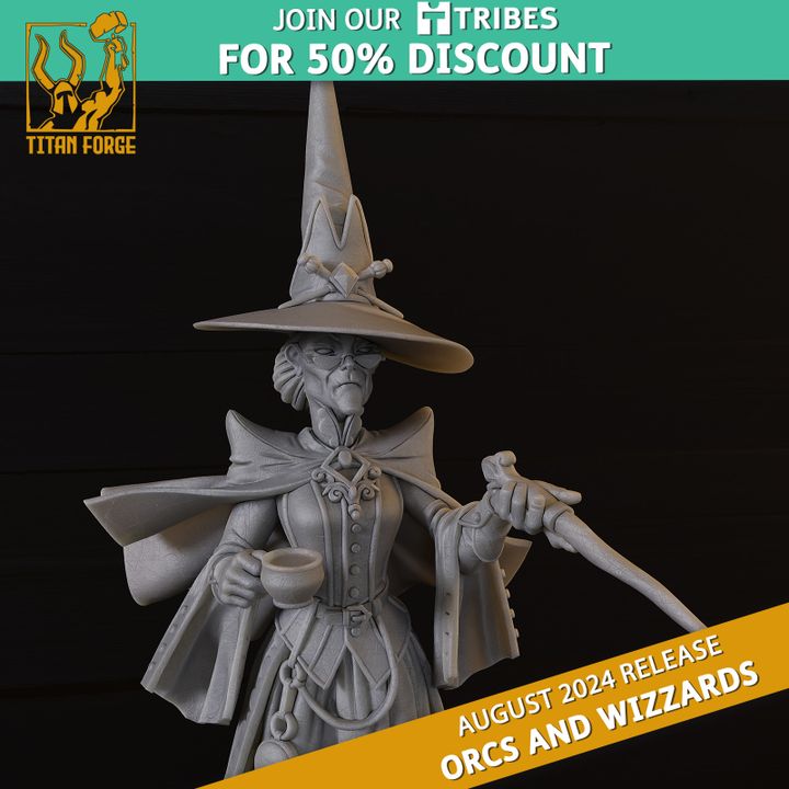 3D Printable Wizzard Principal - Titan Forge Miniatures - 2024 - August ...