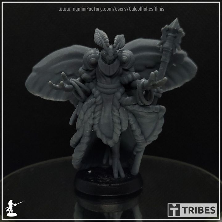 3D Printable Mothfolk Series [PRE-SUPPORTED] | Complete Collection ...