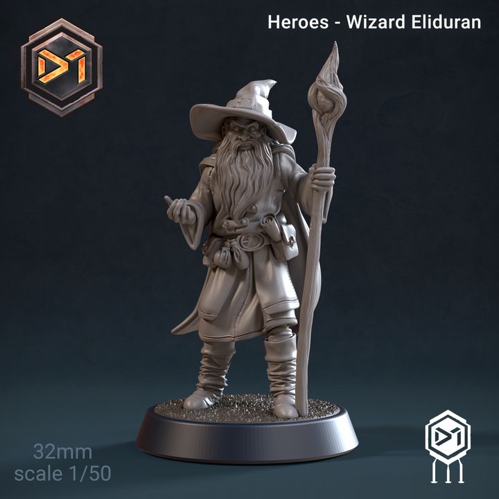 3D Printable Heroes - Wizard Eliduran by Dimensional Maze