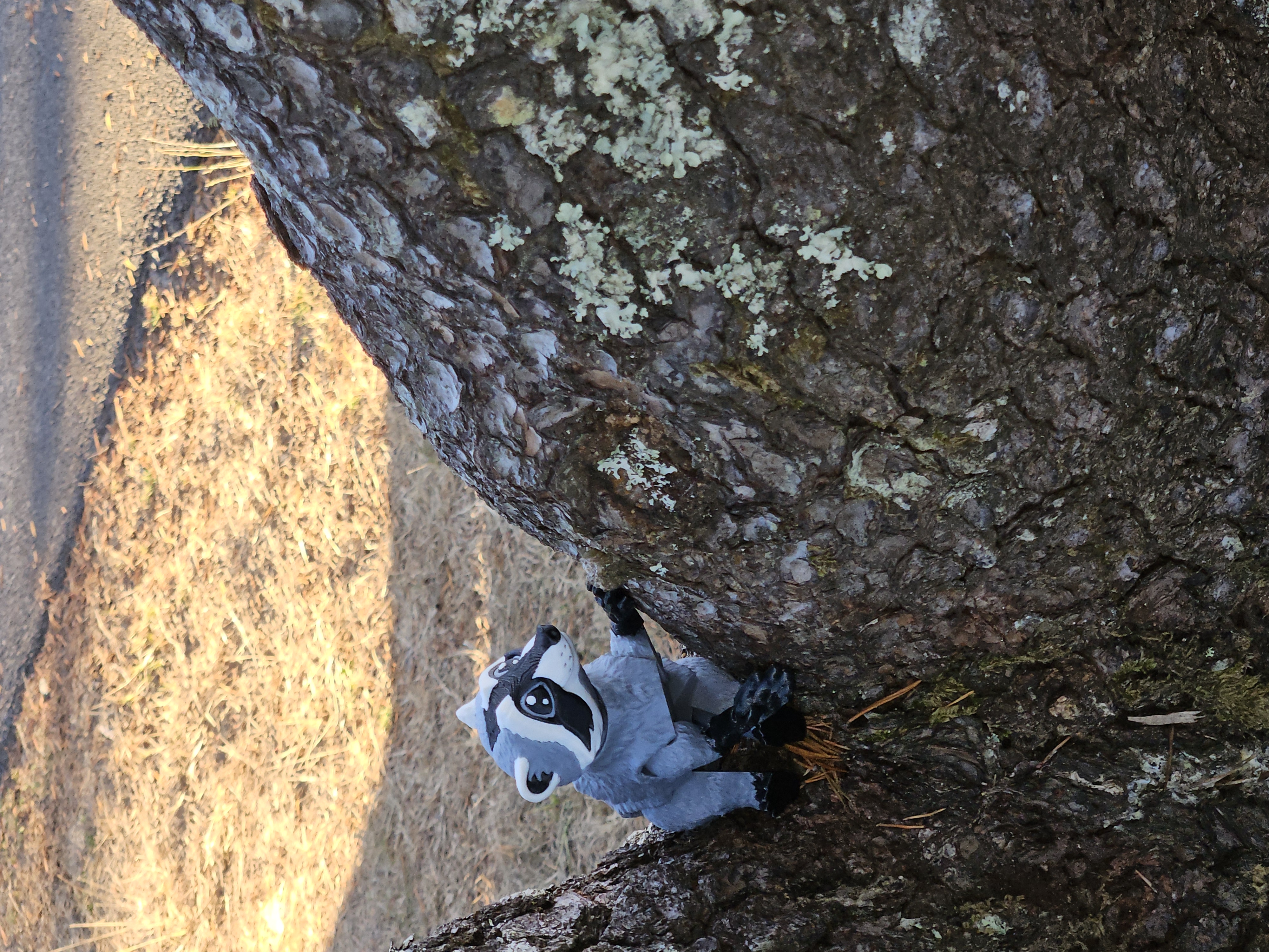 3D Printable Raccoon, Print-In-Place Body, Snap-Fit Head, Cute Flexi ...