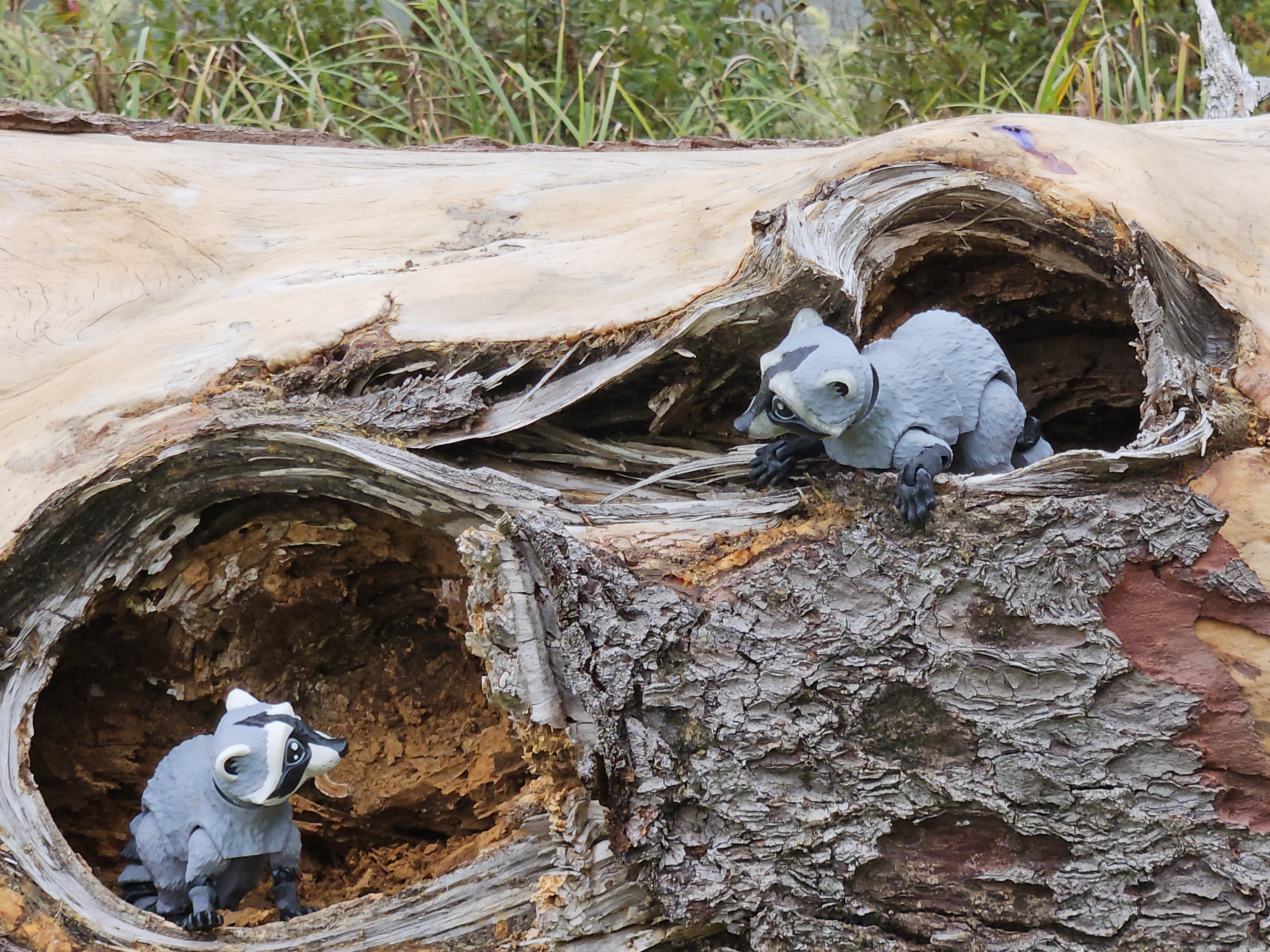 3D Printable Raccoon, Print-In-Place Body, Snap-Fit Head, Cute Flexi ...