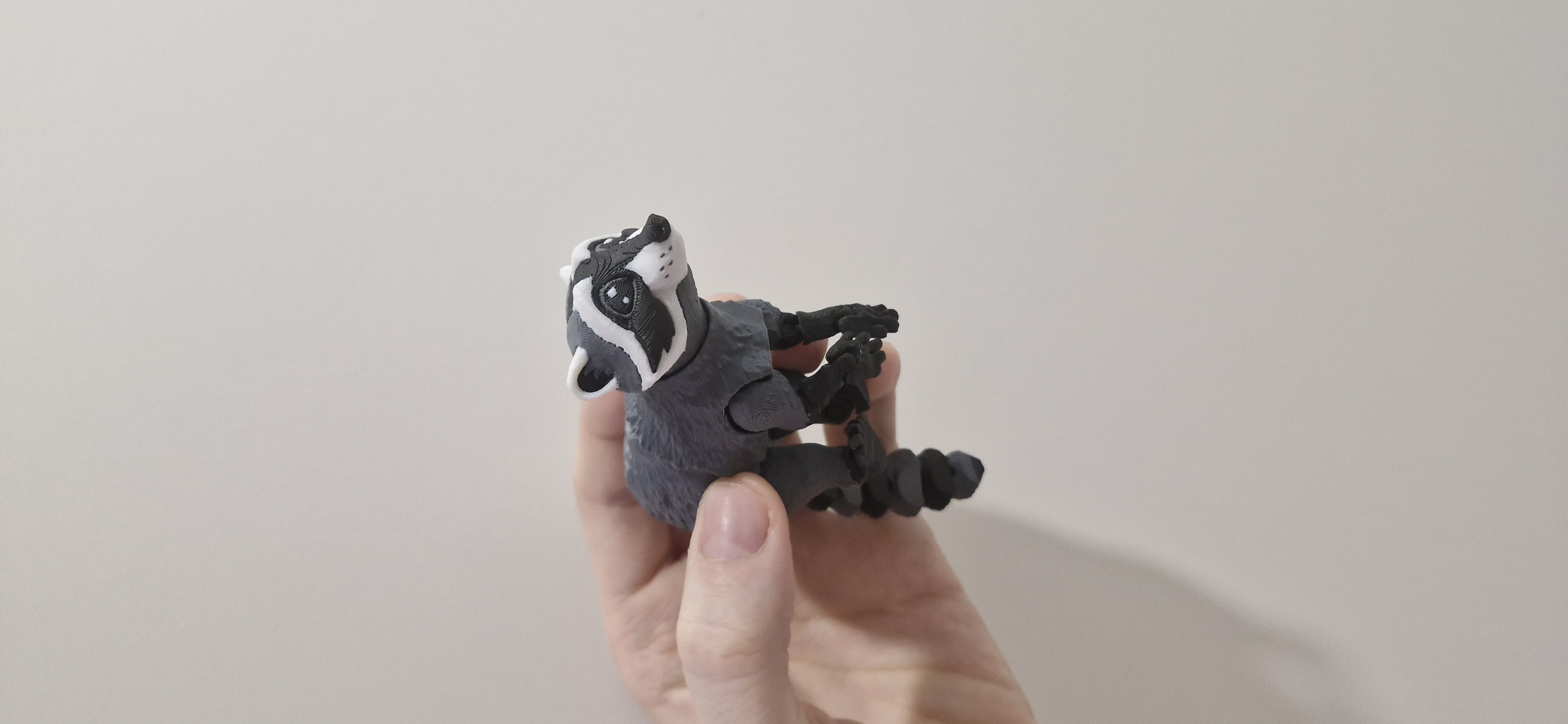 3D Printable Raccoon, Print-In-Place Body, Snap-Fit Head, Cute Flexi ...