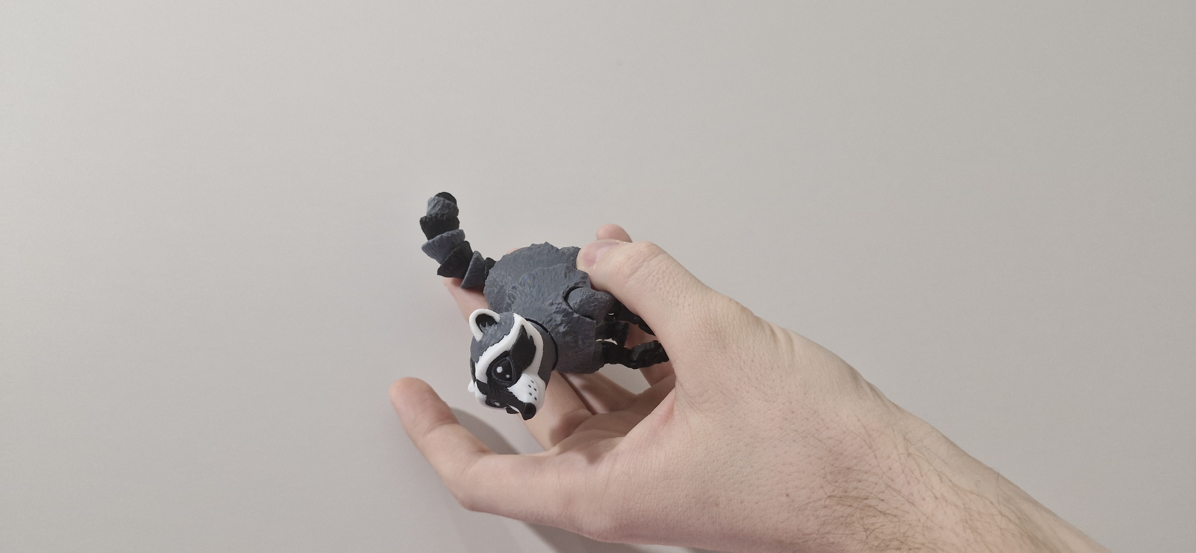 3D Printable Raccoon, Print-In-Place Body, Snap-Fit Head, Cute Flexi ...