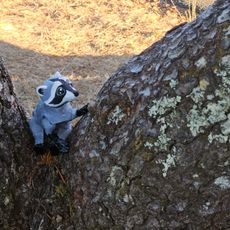 3D Printable Raccoon, Print-In-Place Body, Snap-Fit Head, Cute Flexi ...