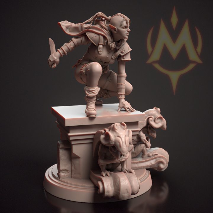 3D Printable Alina the Rogue by MagicLore Studios