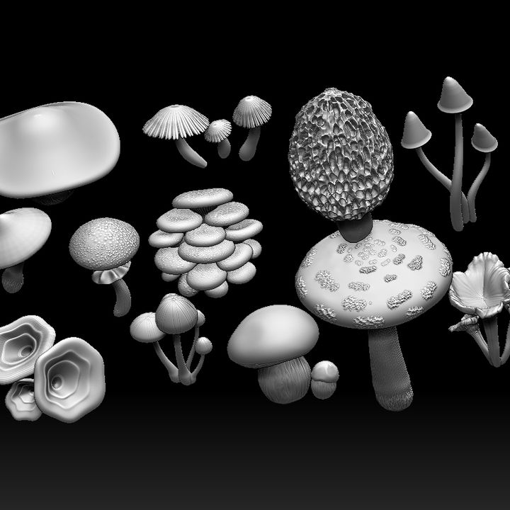 3D Printable mushrooms by 3Dimontis