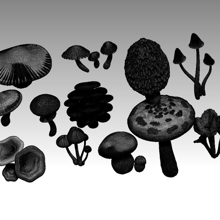 3D Printable mushrooms by 3Dimontis