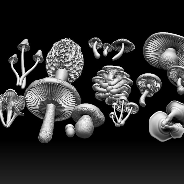 3D Printable mushrooms by 3Dimontis