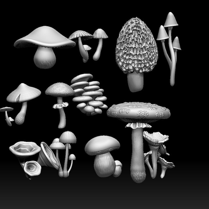 3D Printable mushrooms by 3Dimontis