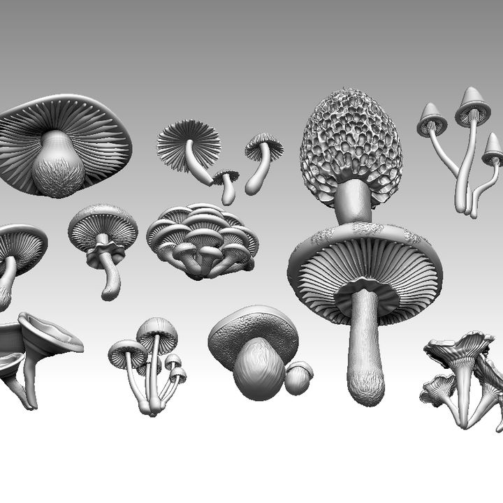 3D Printable mushrooms by 3Dimontis