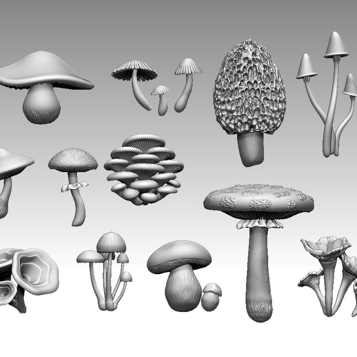 3D Printable mushrooms by 3Dimontis