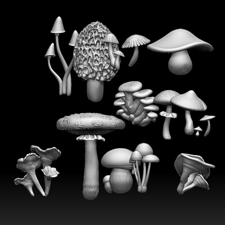 3D Printable mushrooms by 3Dimontis