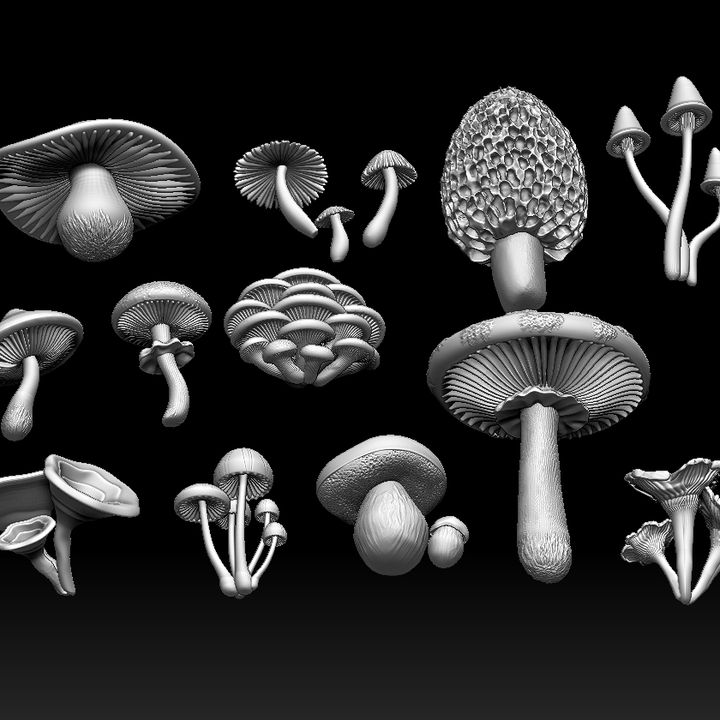3D Printable mushrooms by 3Dimontis