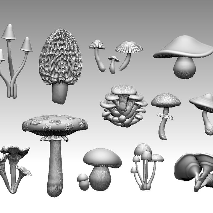 3D Printable mushrooms by 3Dimontis