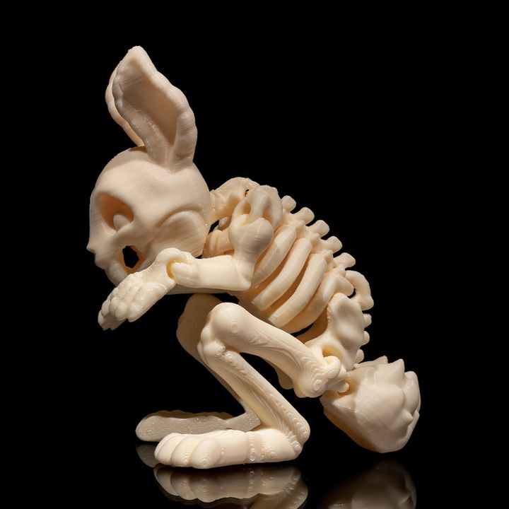 3D Printable Skeleton Bunny by Stlflix