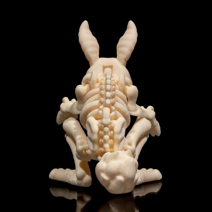 3D Printable Skeleton Bunny by Stlflix