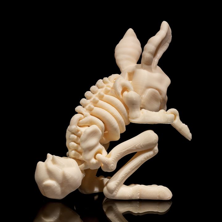 3D Printable Skeleton Bunny by Stlflix