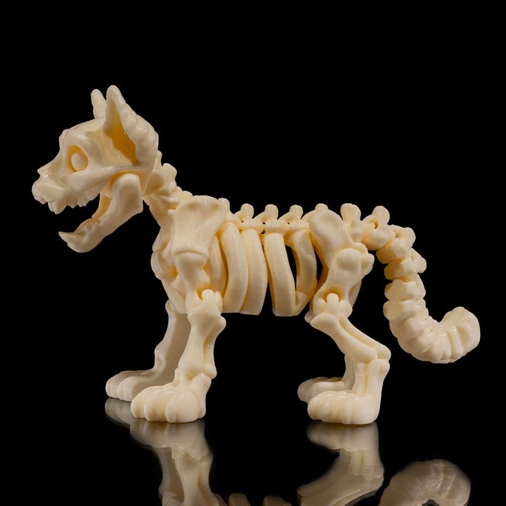 3D Printable Skeleton Cat by Stlflix