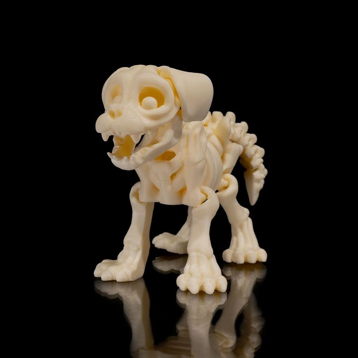 3D Printable Skeleton Dog by Stlflix