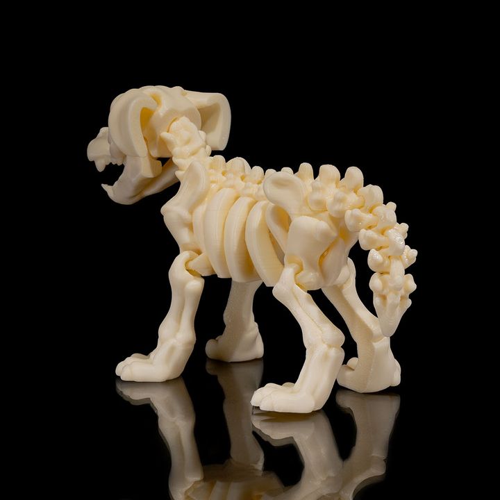 3D Printable Skeleton Dog by Stlflix