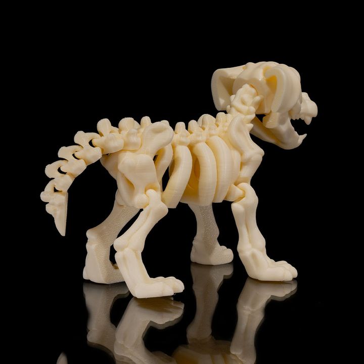 3D Printable Skeleton Dog by Stlflix