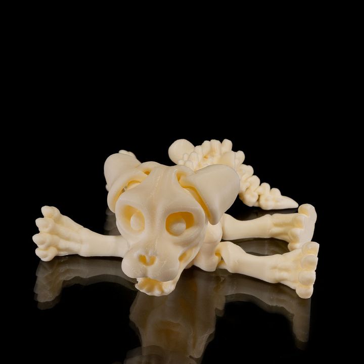 3D Printable Skeleton Dog by Stlflix