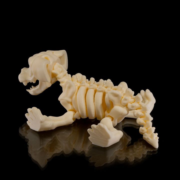 3D Printable Skeleton Dog by Stlflix