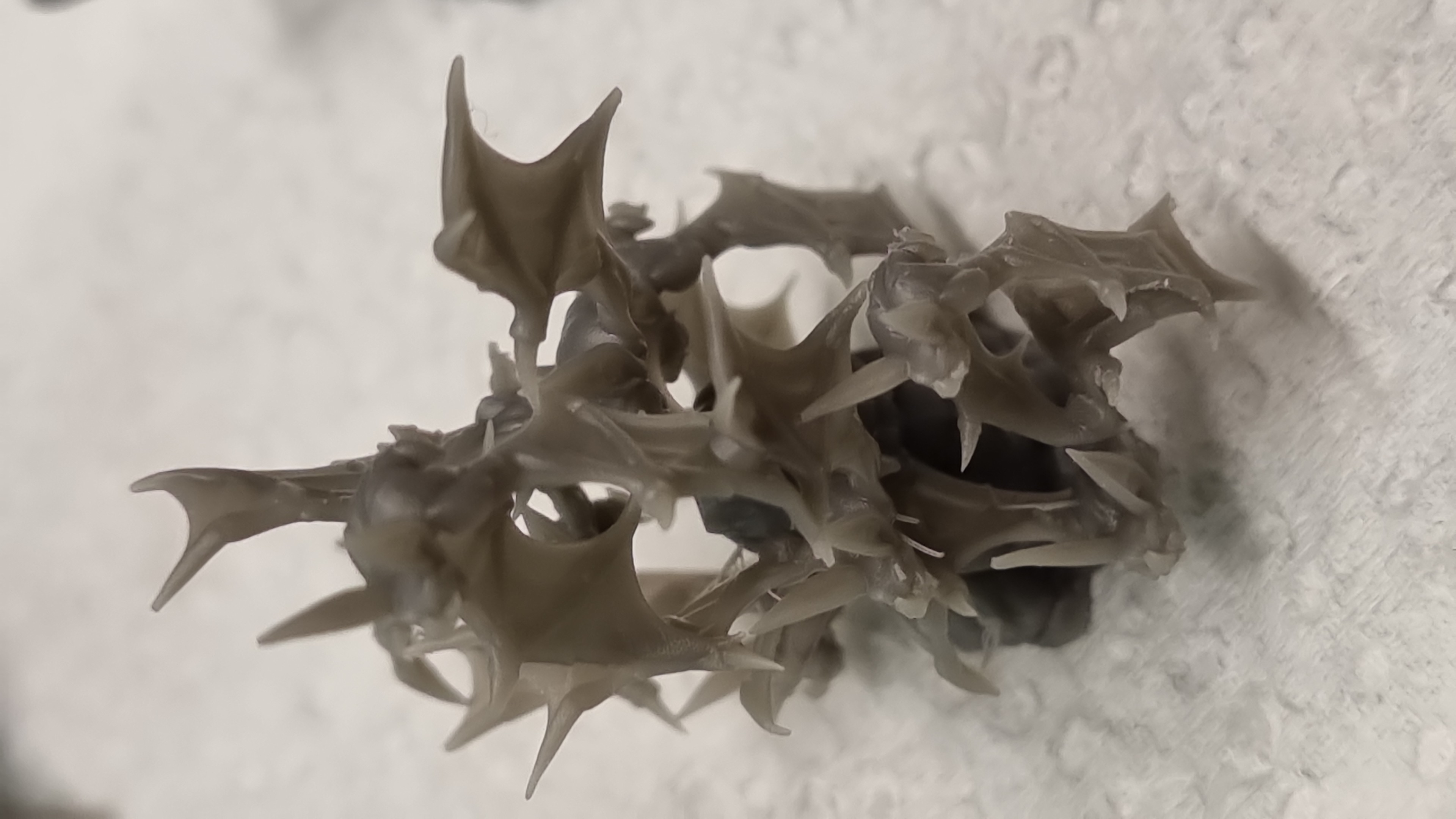 3D Printable Bats Cloud (Pre-Supported) | Cast n Play by Cast n Play