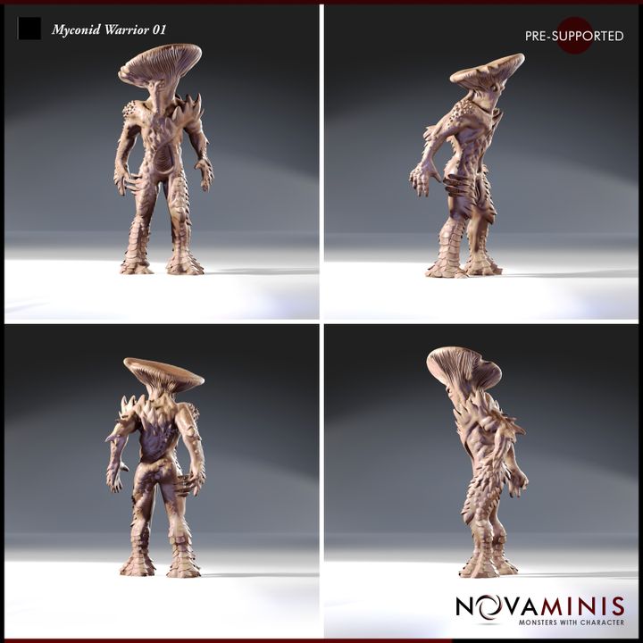 3D Printable Myconid Warrior 01 by NOVAMINIS