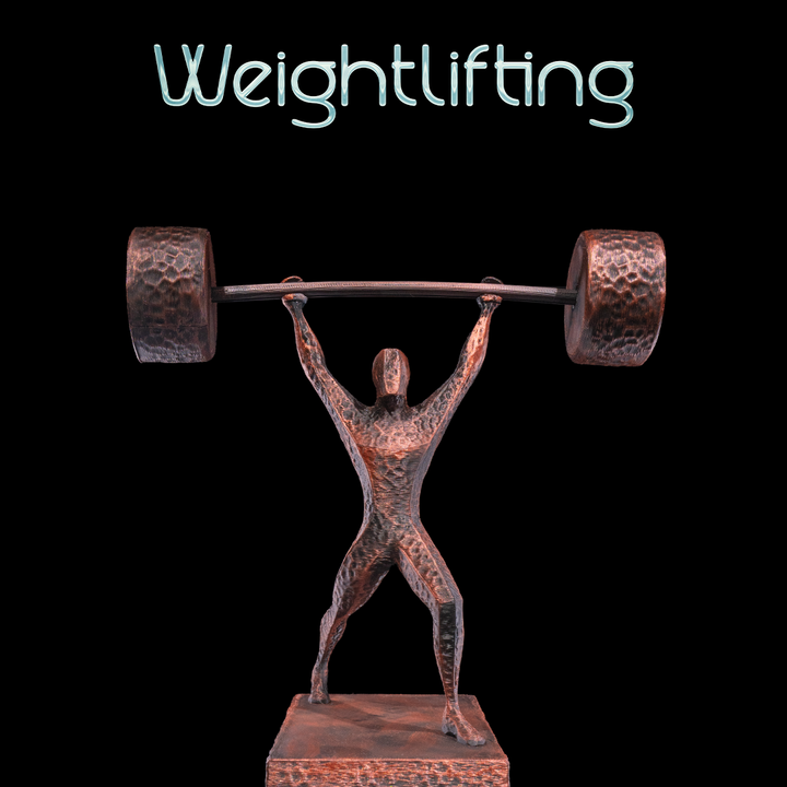 3D Printable Weightlifting by Stlflix