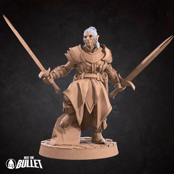 3D Printable Drow Weapon Master by Bite the Bullet