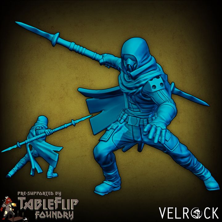 3D Printable Destiny Guardians (PRESUPPORTED) by Velrock Art Miniatures