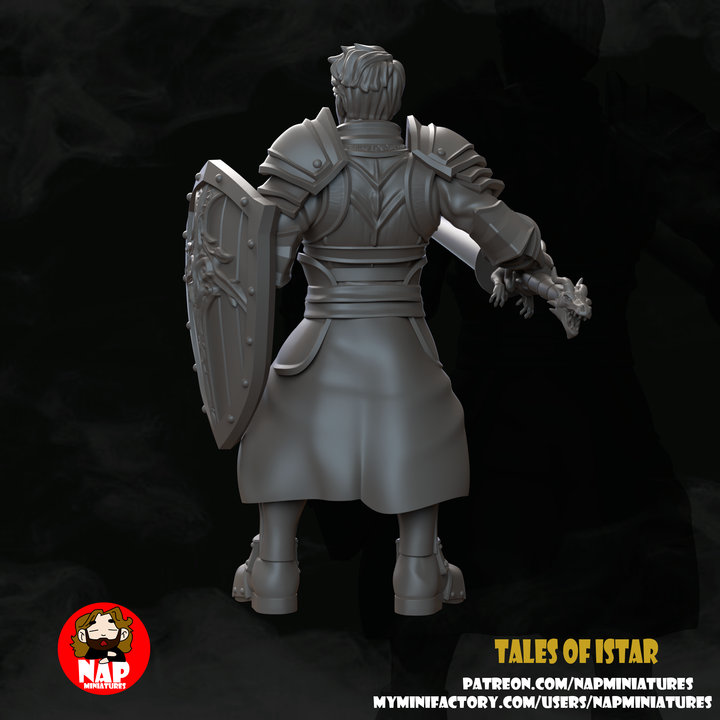 3D Printable Human Paladin Dragonlance by Nap Miniatures by Nacho ...