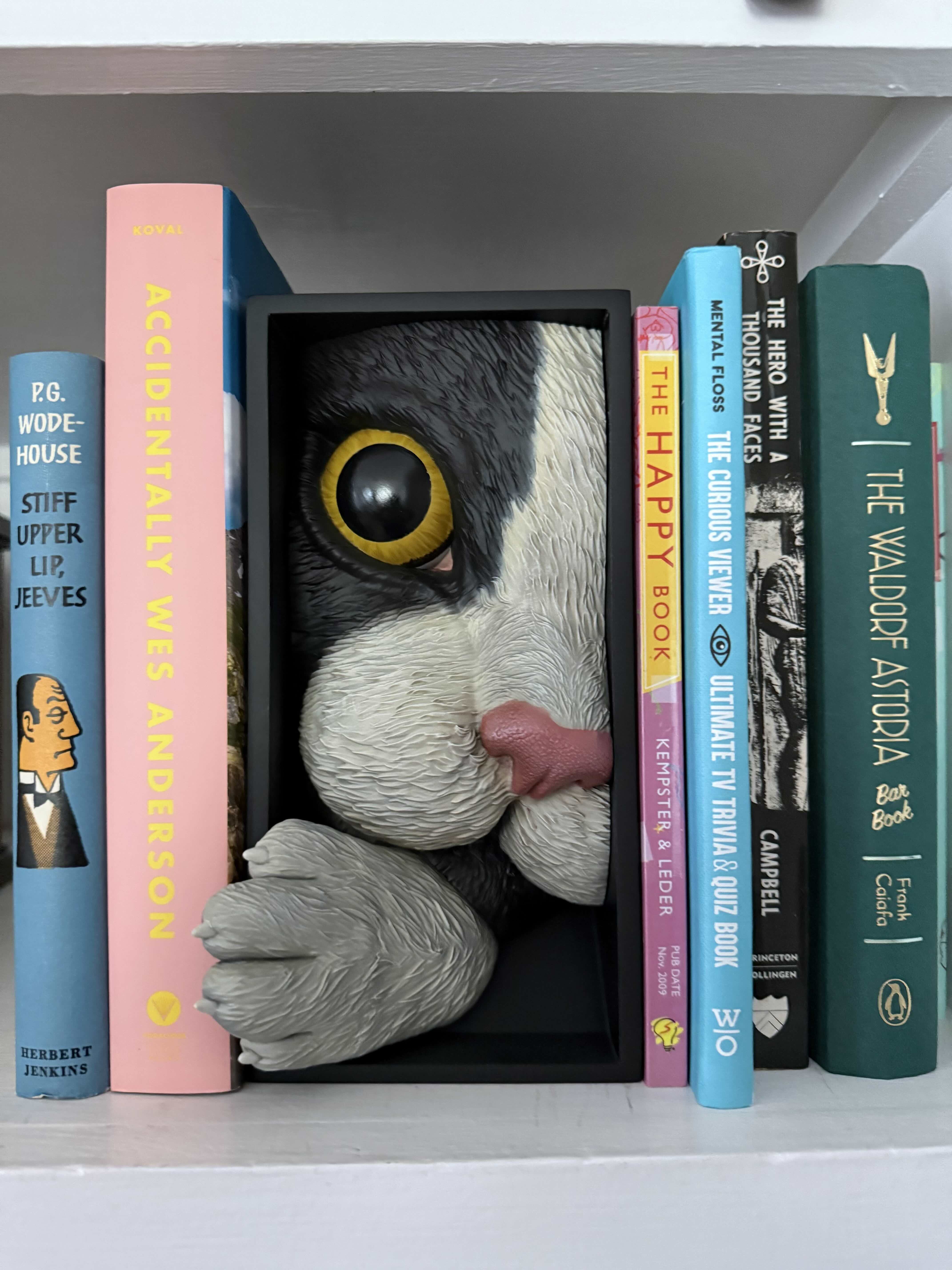3D Printable Cat’s Curiosity Book Nook by Stlflix