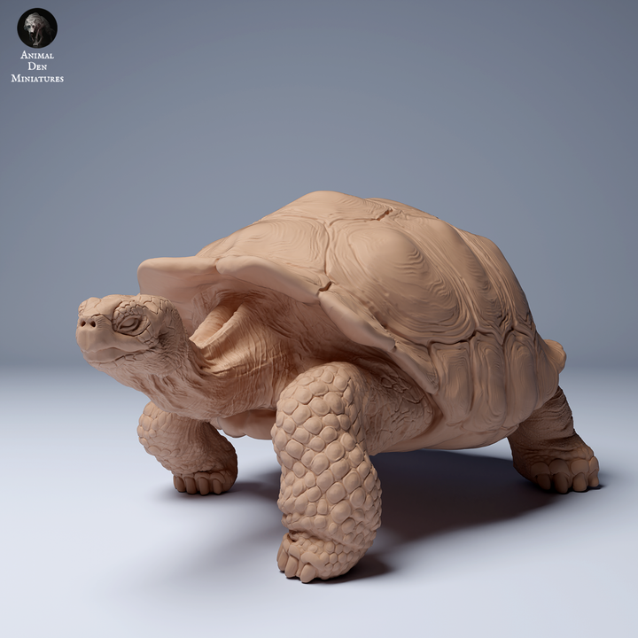 3D Printable Galápagos giant tortoise by Animal Den Miniatures